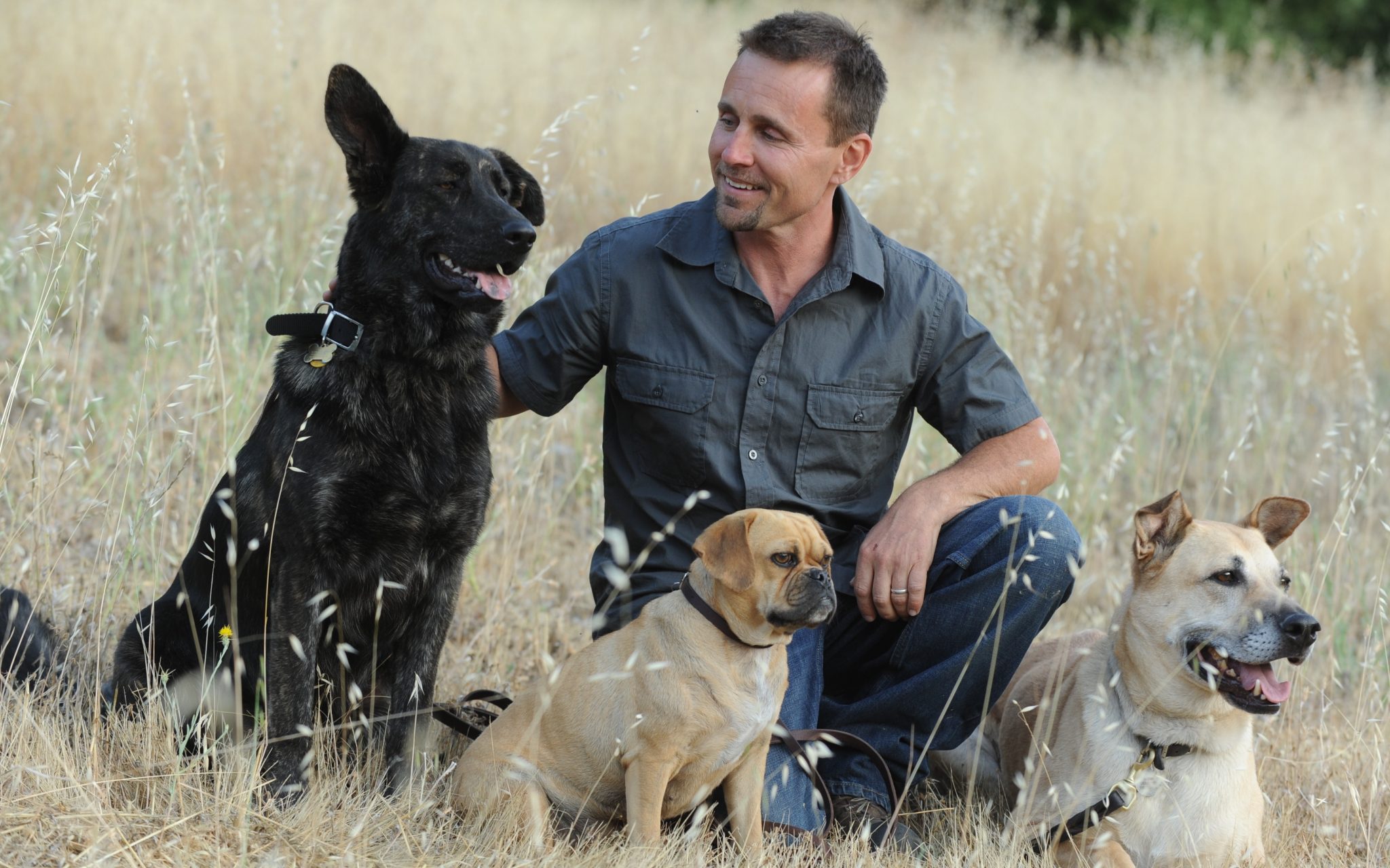 Therapy Dog Test Items - Thriving Canine